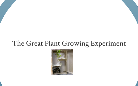 The Great Plant Growing Experiment by Alessandro chiang on Prezi