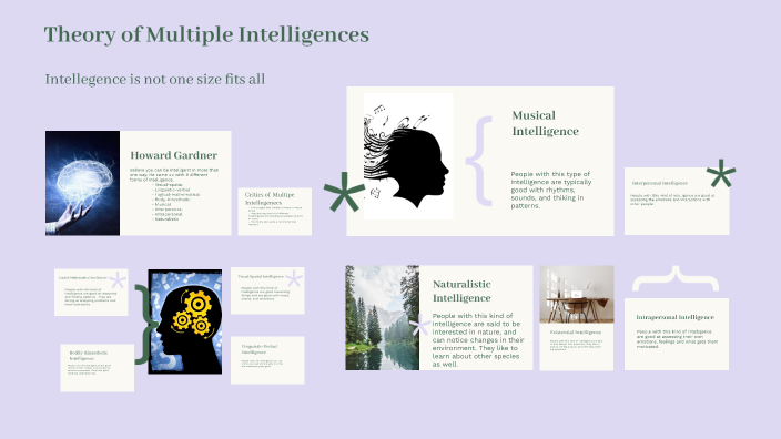 WK6 | Reading Response - Multiple Intelligences by Miguel Coronado ...