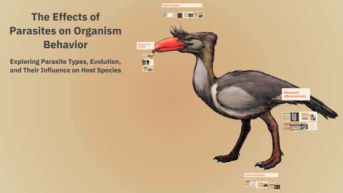 The Effects of Parasites on Organism Behavior by ALI on Prezi