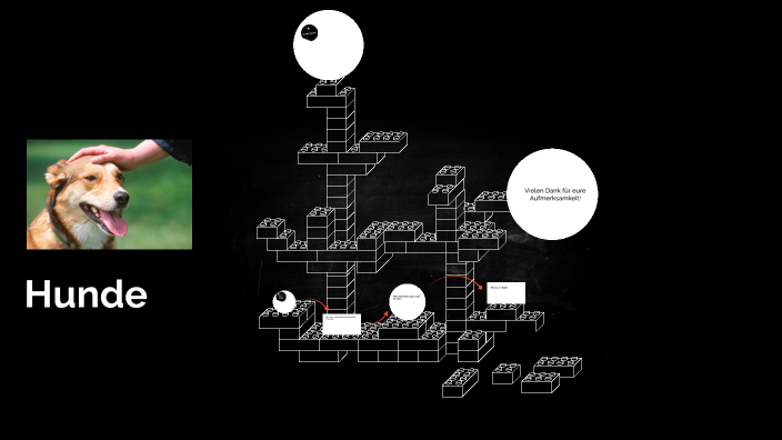 Hunde-Markus Schiller by Markus Schiller on Prezi