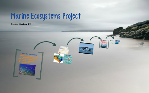 Open Sea Ecosystems by Deema Hakkani on Prezi