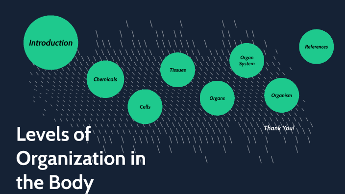 Levels of Organization in the Body by Andrew Baldwin on Prezi