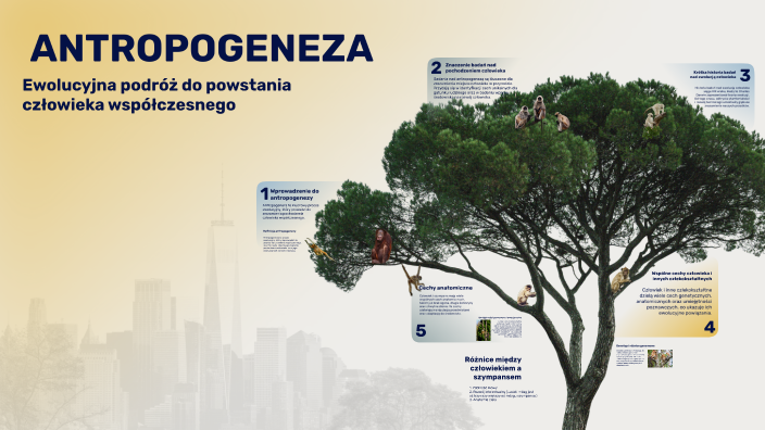 ANTROPOGENEZA by Alicja Biernat on Prezi