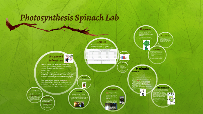 Photosynthesis Spinach Lab by Jojo Joseph on Prezi