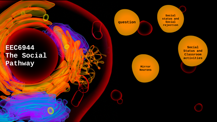 EEC6944 The Social Pathway by maria gonzalez on Prezi