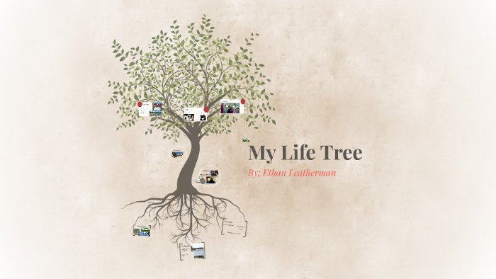 My Life Tree by ethan leatherman on Prezi