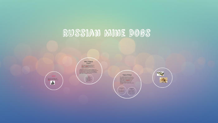 Russian Mine Dogs by lizette patricio on Prezi
