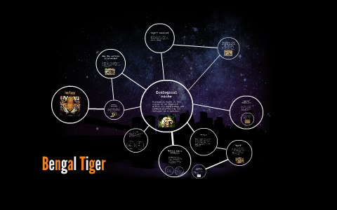 Bengal Tiger Niche by David Martinez on Prezi