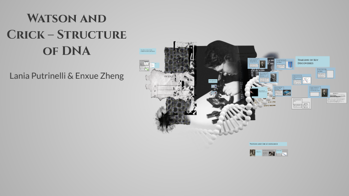 Watson and Crick – Structure of DNA by Enxue Z. on Prezi