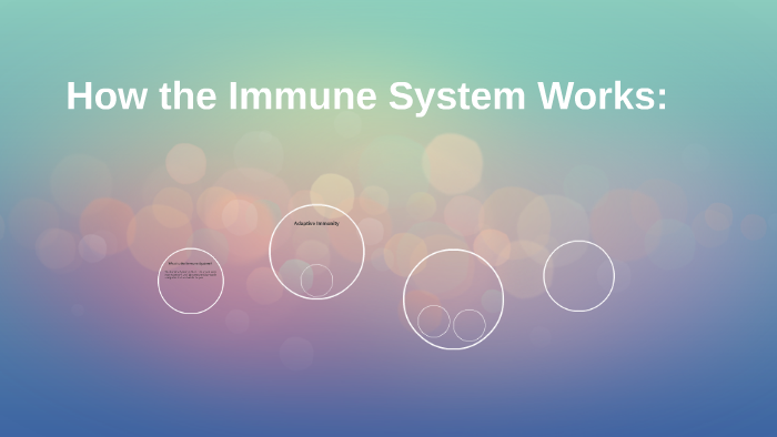 How the Immune System Works: by Amber Oelkers on Prezi
