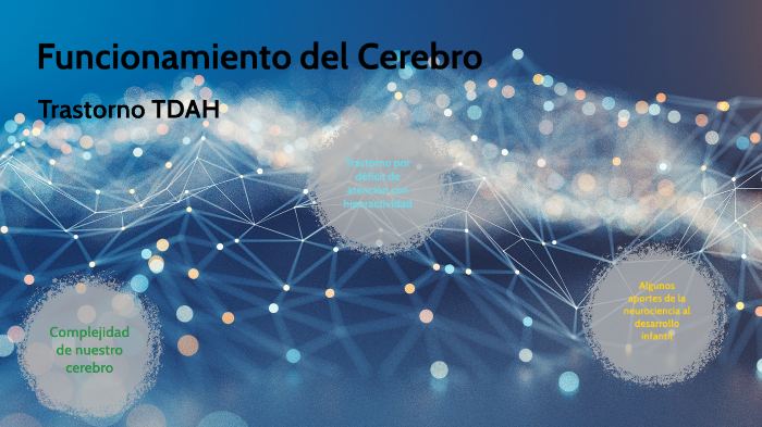 El Lenguaje Y Funcionamiento Del Cerebro Impacto Del Tdah En La Vida