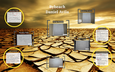 The Dream Ecosystem Project by Daniel Avila on Prezi