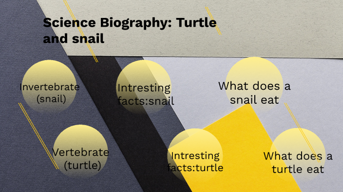 Science Biography: Turtle and snail by Jeremy Hagerty on Prezi