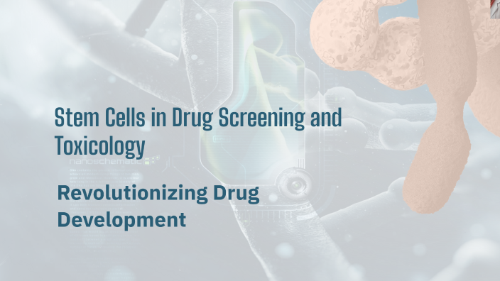 Stem Cells in Drug Screening and Toxicology by Shruthi on Prezi
