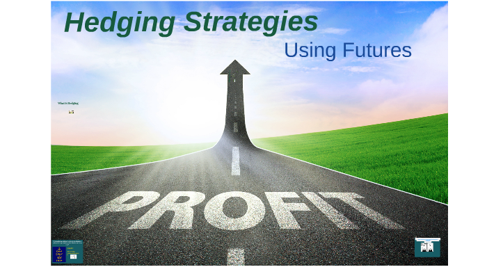 Hedging Strategies by Safa Ghoneim on Prezi