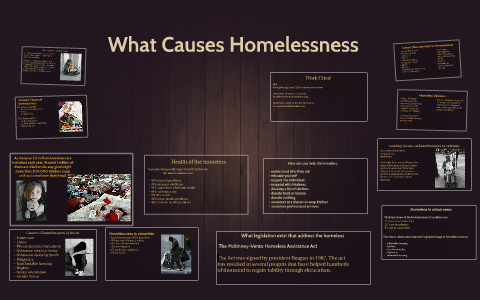 What Causes Homelessness by Michael Wilson on Prezi