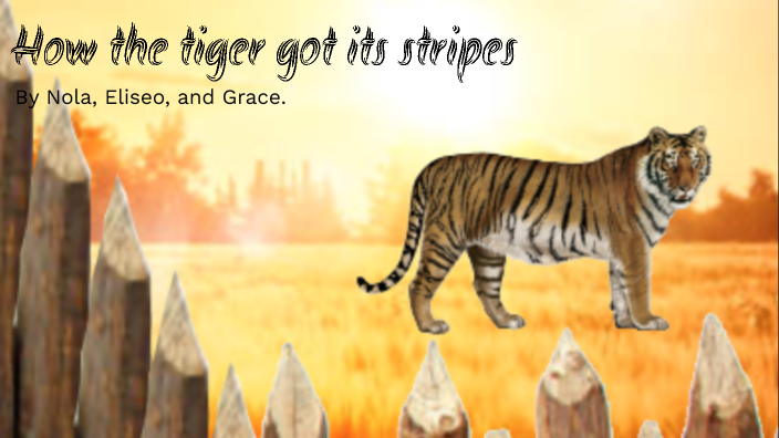 how the tiger got its stripes by e z on Prezi