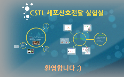 CSTL 세포신호전달 실험실 by yr park on Prezi