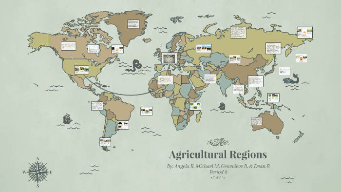 Agricultural Regions in MDCs and LDCs by Angela on Prezi