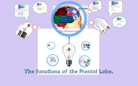 The functions of the Frontal Lobe. by on Prezi