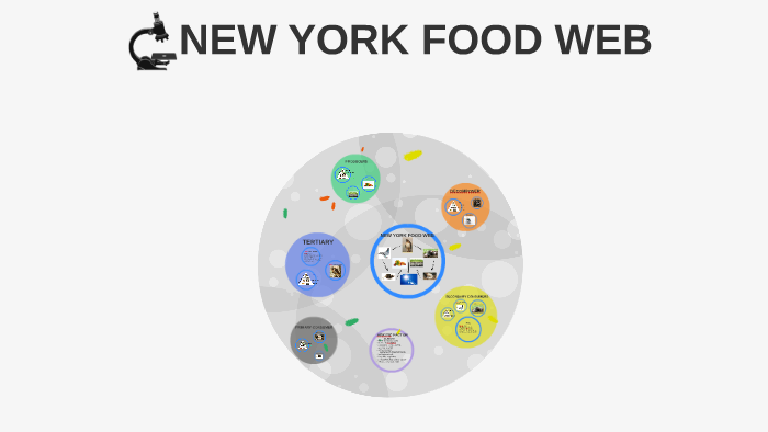NEW YORK FOOD WEB by MANA 2PERIOD on Prezi