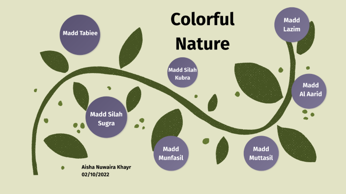 Madd Types by Mohammad Khaer on Prezi