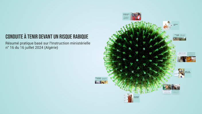 Conduite à tenir devant un risque rabique by Julia MEBARKI on Prezi