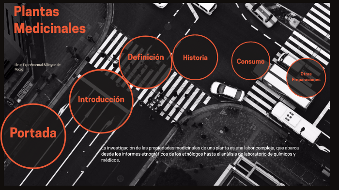 Plantas medicinales by Emily Chavarria on Prezi