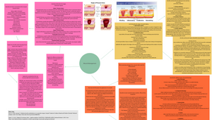 Wound Care Concept Map by Anjali Patel on Prezi Design
