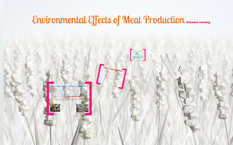 Environmental Effects of Meat Production by Klarissa Gilbert on Prezi