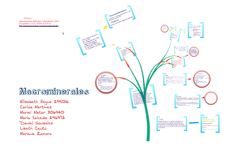 Macrominerales by elizabeth reyna on Prezi