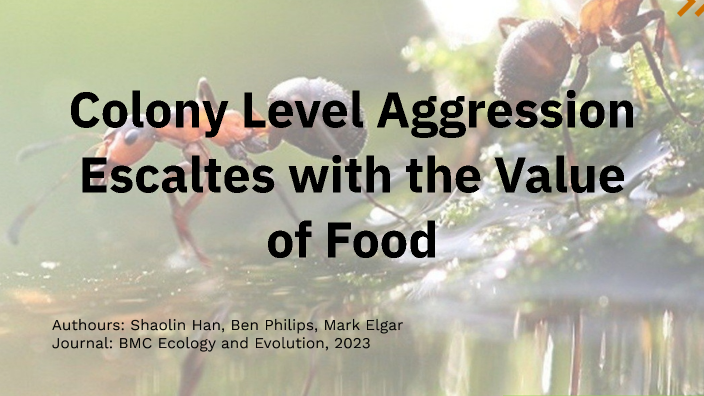 Colony Level Aggression By Vidhaan Dave On Prezi