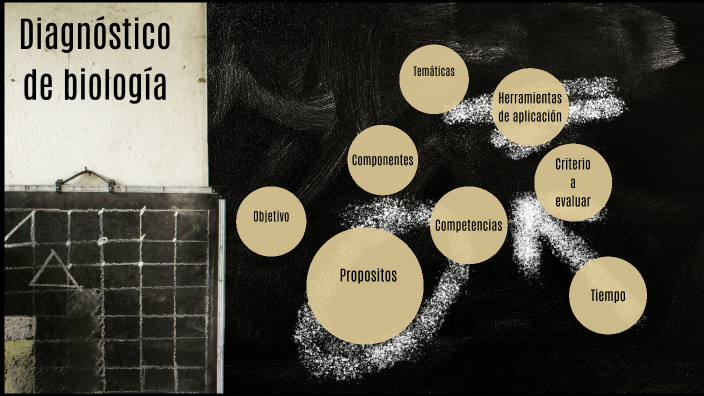 Diagnóstivo by Dora Caceres on Prezi