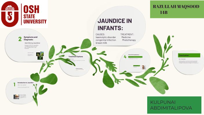 Understanding Infant Jaundice by razaullah maqsood on Prezi