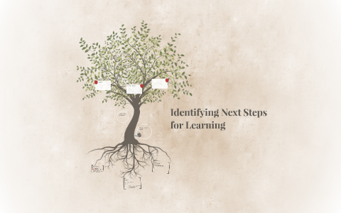 Identifying Next Steps for Learning by jane hinton
