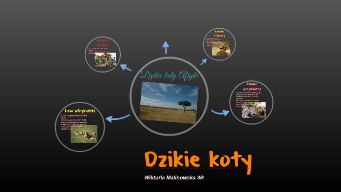 Dzikie koty Afryki by Wiktoria Malinowska on Prezi