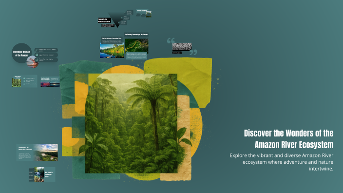 Discover the Wonders of the Amazon River Ecosystem by Matthew Benavidez ...