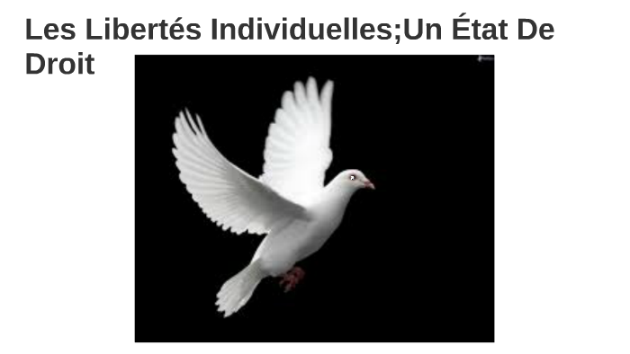 Liberté individuelle etat de droit . by Romain Lucena on Prezi