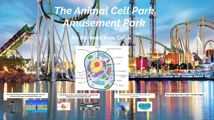 The Cell Amusement Park by Caleb Santos on Prezi