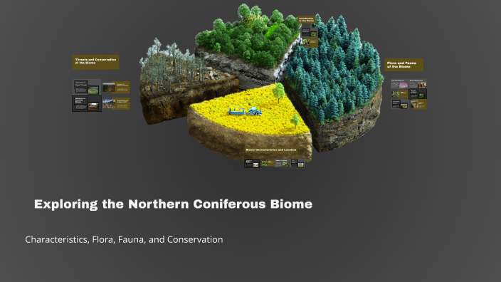 Exploring the [Biome Name] Biome by Angela Graves on Prezi