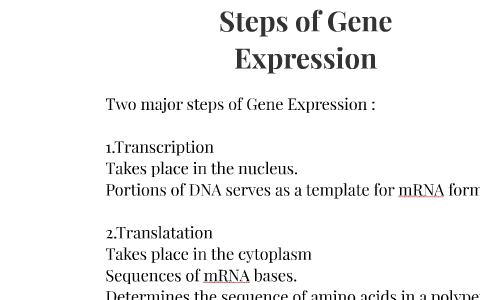 Steps of Gene Expression by Samantha Carroll on Prezi