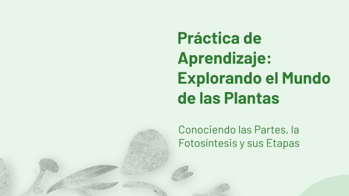 Práctica de Aprendizaje: Explorando el Mundo de las Plantas by Karla ...