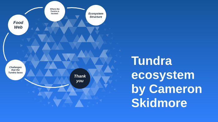 Tundra ecosystem by Cameron skidmore on Prezi