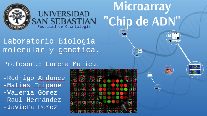 Microarray "Chip de ADN" by Raul Hernandez on Prezi