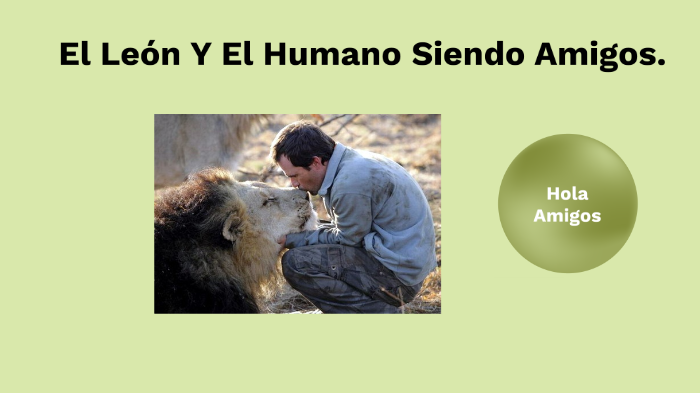 El León Y El Humano Siendo Amigos. by Jennifer Aguilar on Prezi