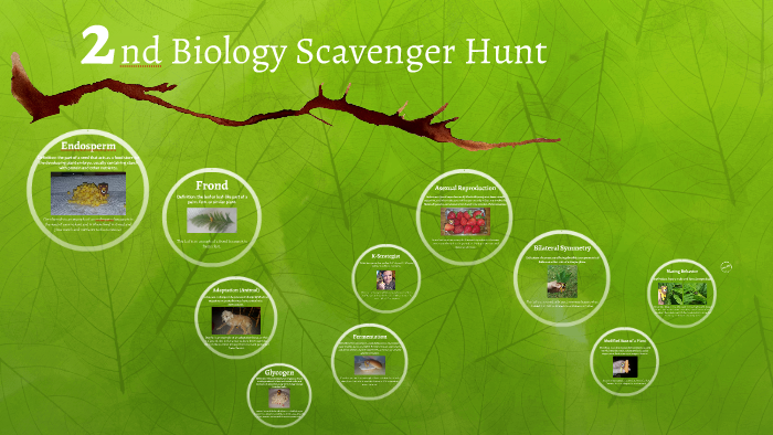 2nd Biology Scavenger Hunt by Emily Robinson on Prezi