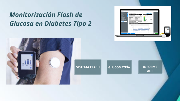Monitorización Flash by on Prezi