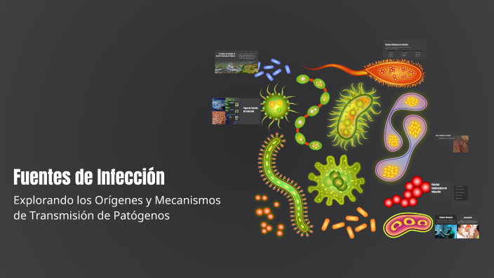 Fuentes de Infección by Henry Perez Leiva on Prezi