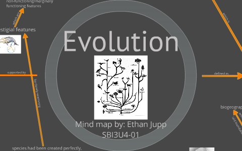 Evolution Mind Map by Ethan Jupp on Prezi