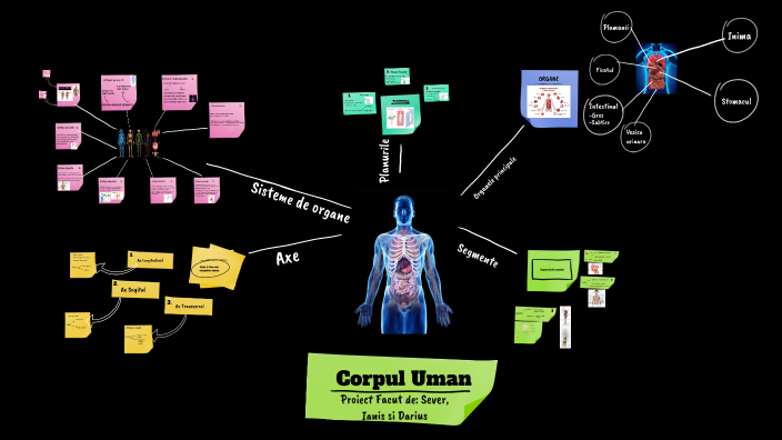 Proiect CDS. Corpul Uman - Generalitati by secer . on Prezi